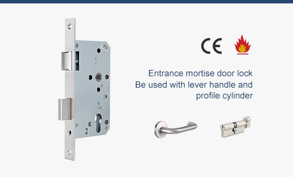 Common Types of Fire Rated Mortise Lock and Their Applications - Dirock ...